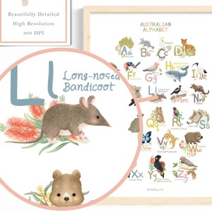 Australian ABC Poster | Alphabet Print | Illustrated Animal Poster | A ...