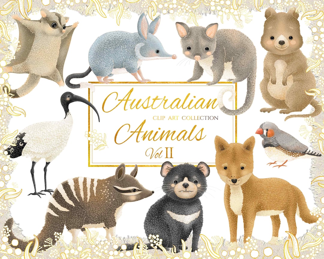 Australian Animals Vol II Clip Art Collection | 22 Elements | PNG ...