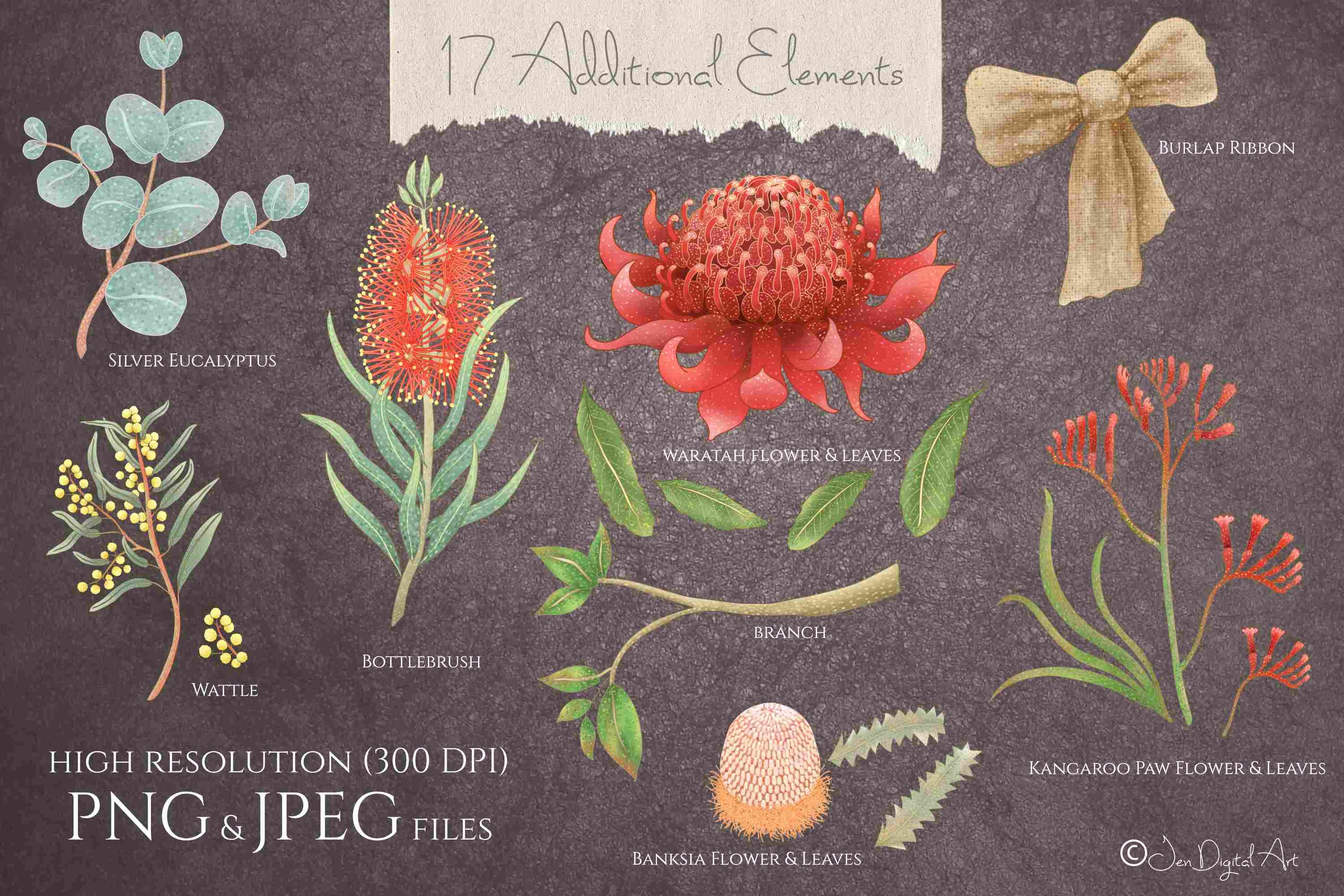 Australian Birds & Flowers Clip Art Collection 27 Elements | Etsy