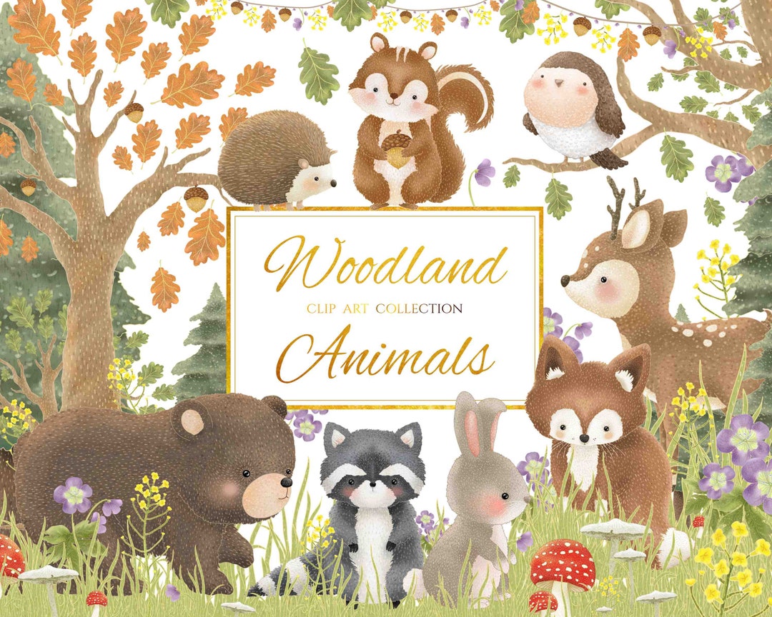 Woodland Animals Clip Art Collection | 29 Elements | PNG / JPEG Files ...