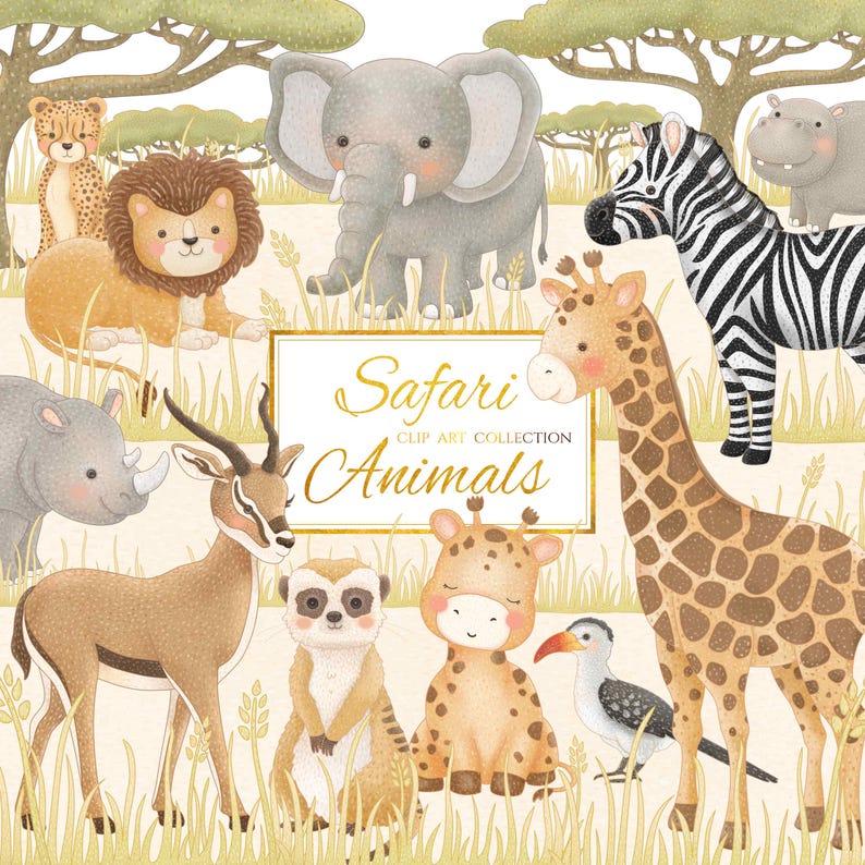 African Safari Animals Clip Art Collection 29 Elements PNG / JPEG Files ...