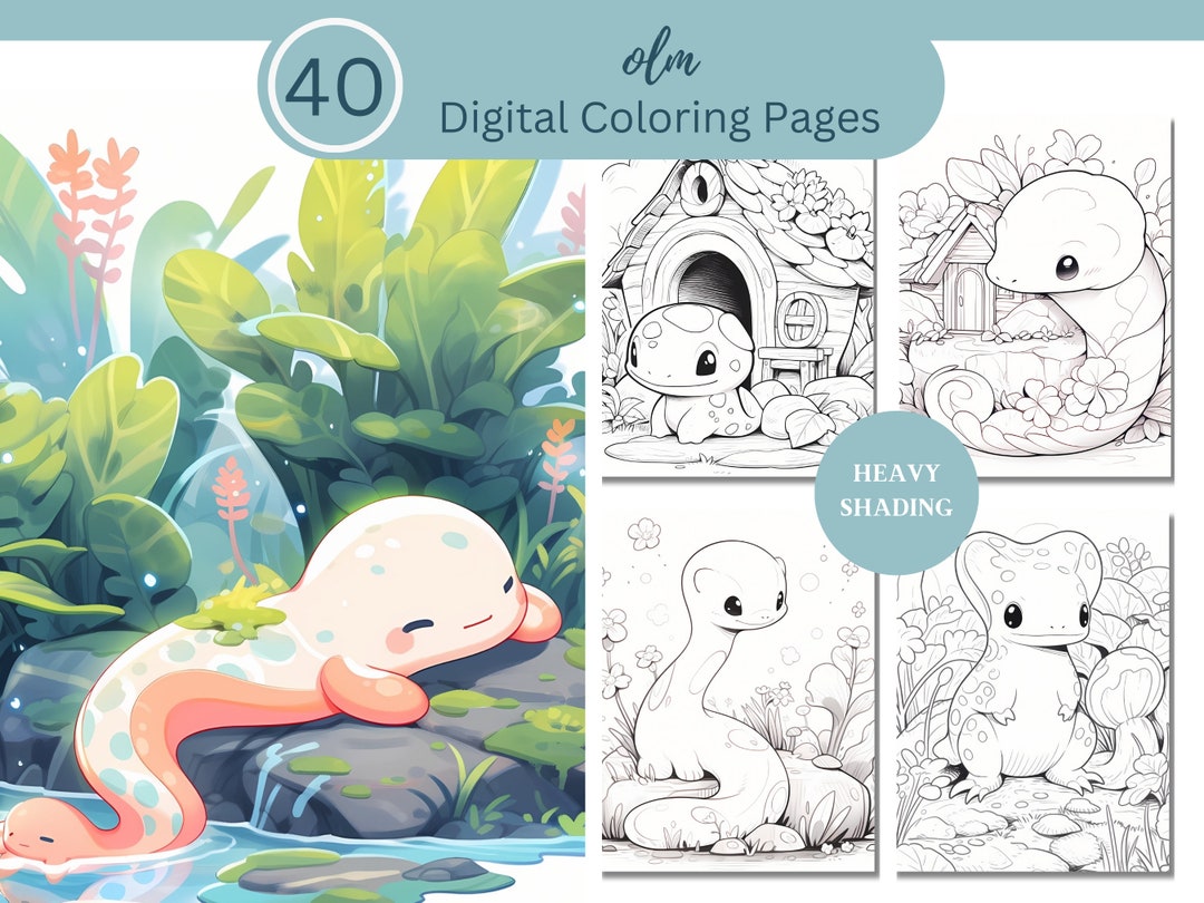 DISCONTINUED Kawaii Olm Coloring Book Fun for All/40 Coloring Pages ...