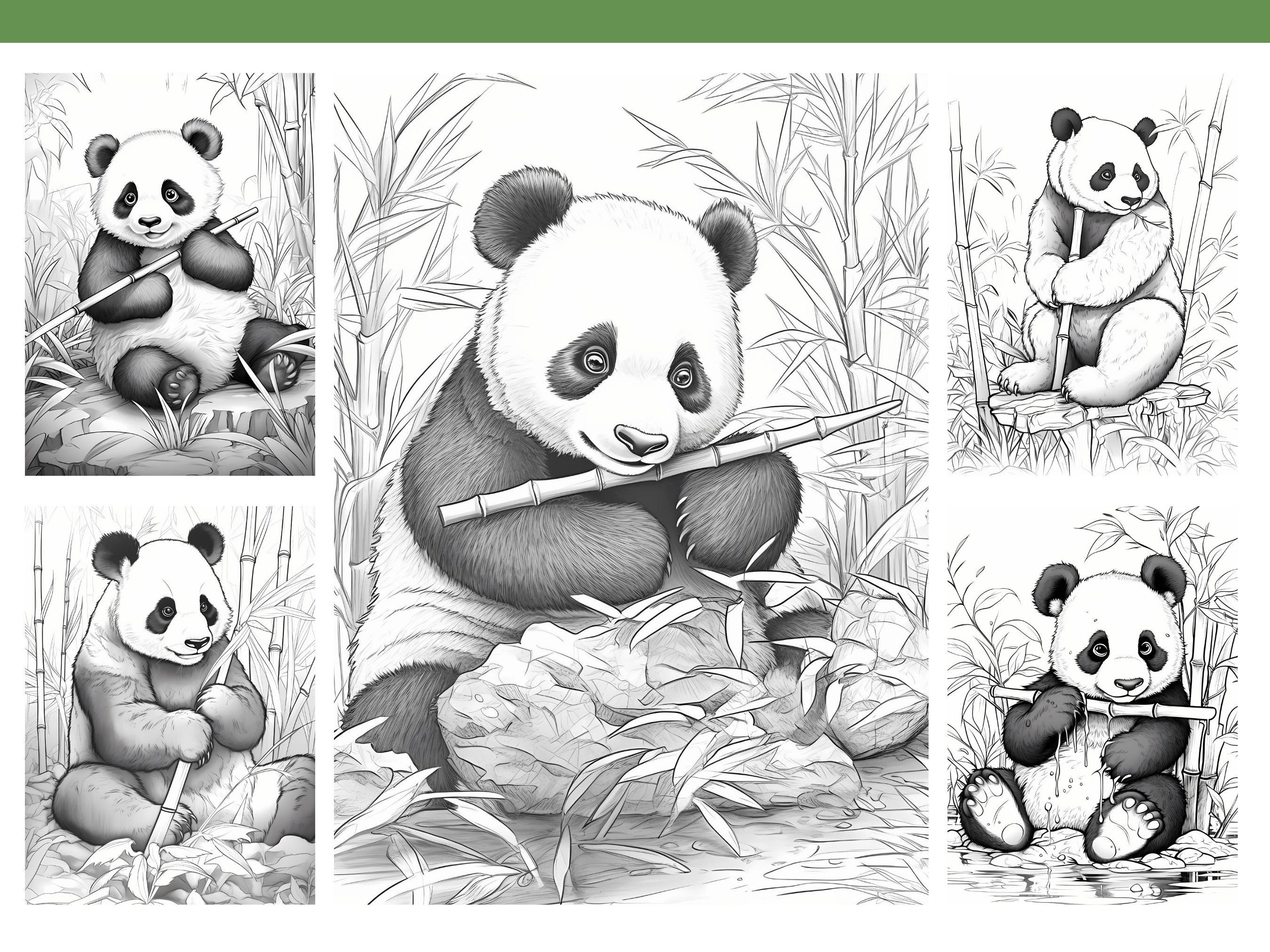 Cute Panda Adult Coloring Pages/20 Coloring Pages to Relax and Unwind ...