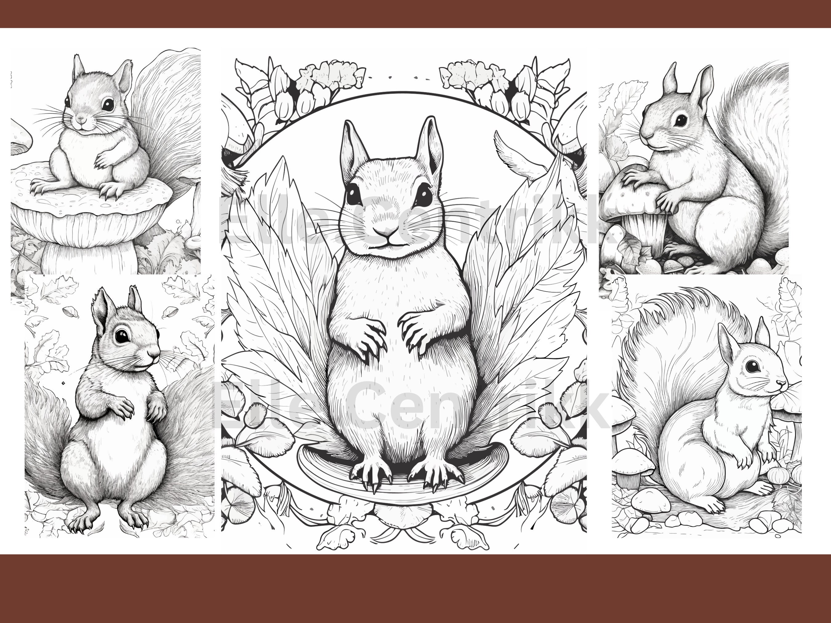 Squirreltopia Coloring Pages/relax and Unwind/30 Adult Coloring Pages/printable Digital Download ...