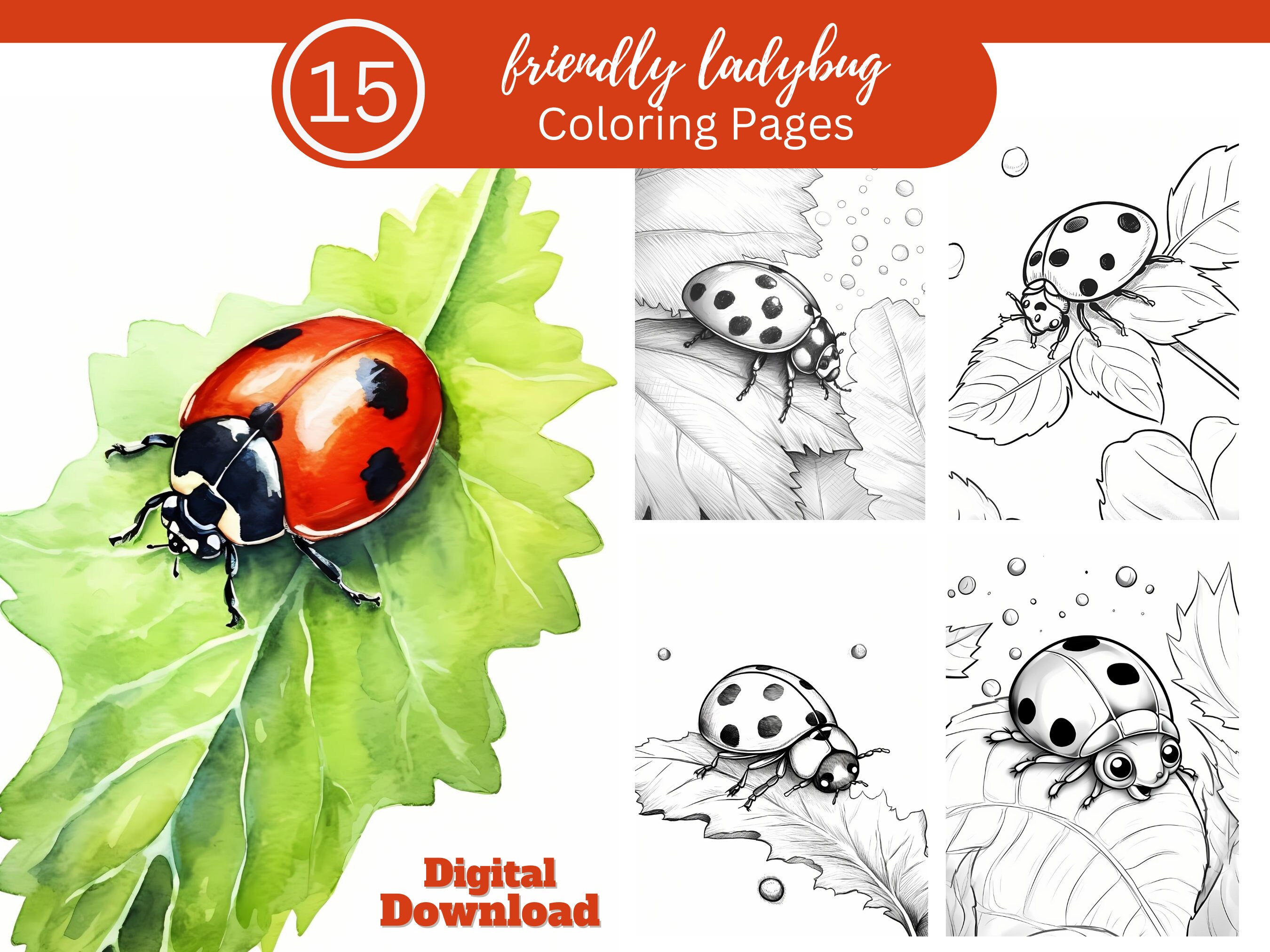 Ladybugs Coloring Book/15 Coloring Pages to Relax and Unwind, Clear ...