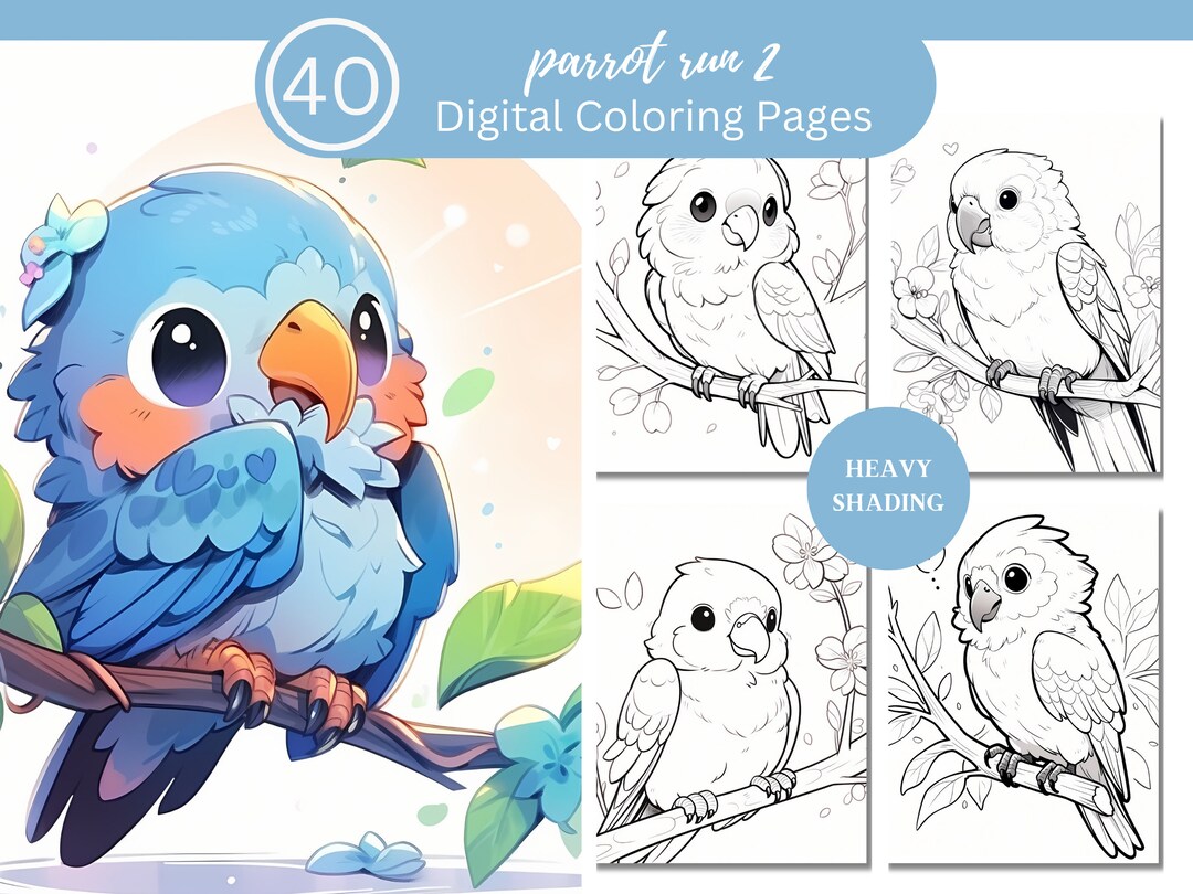 Parrot Run 2 Coloring Book/40 Coloring Pages to Relax and Unwind, Clear ...