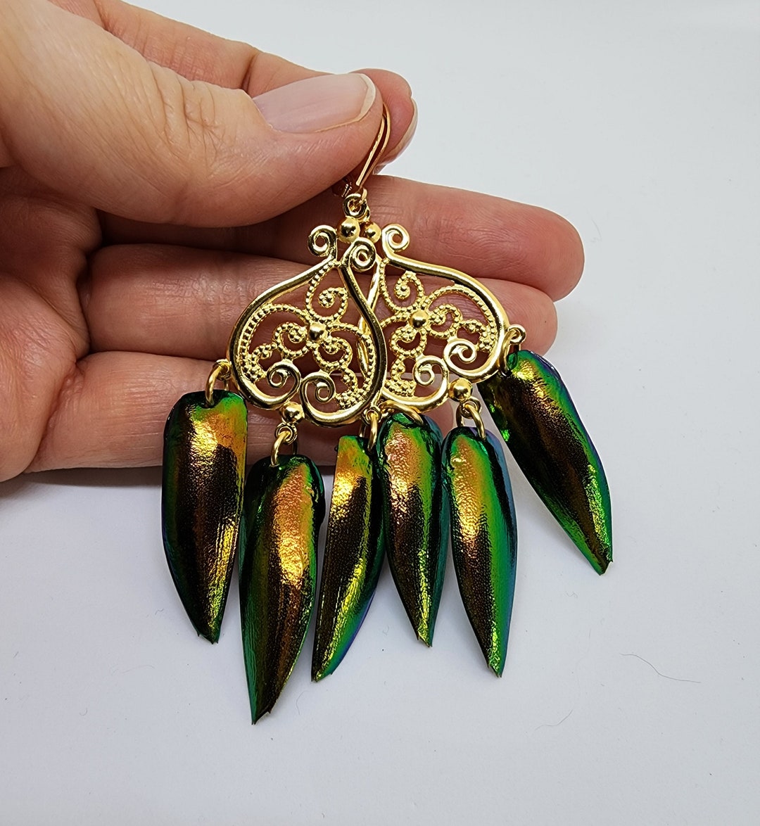 Exotic Beetle Wing Earrings: Emerald Green Copper Oddities Jewelry - Etsy