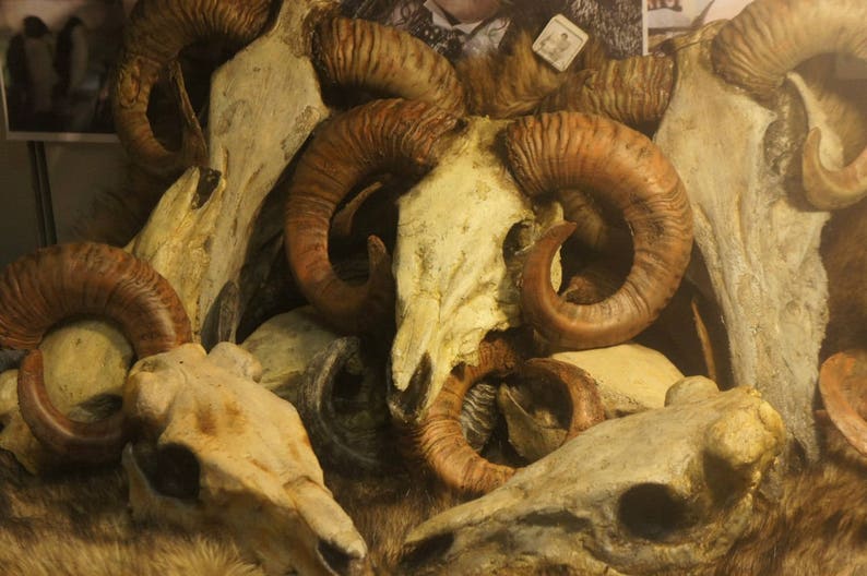 Fallout original stuff | Etsy