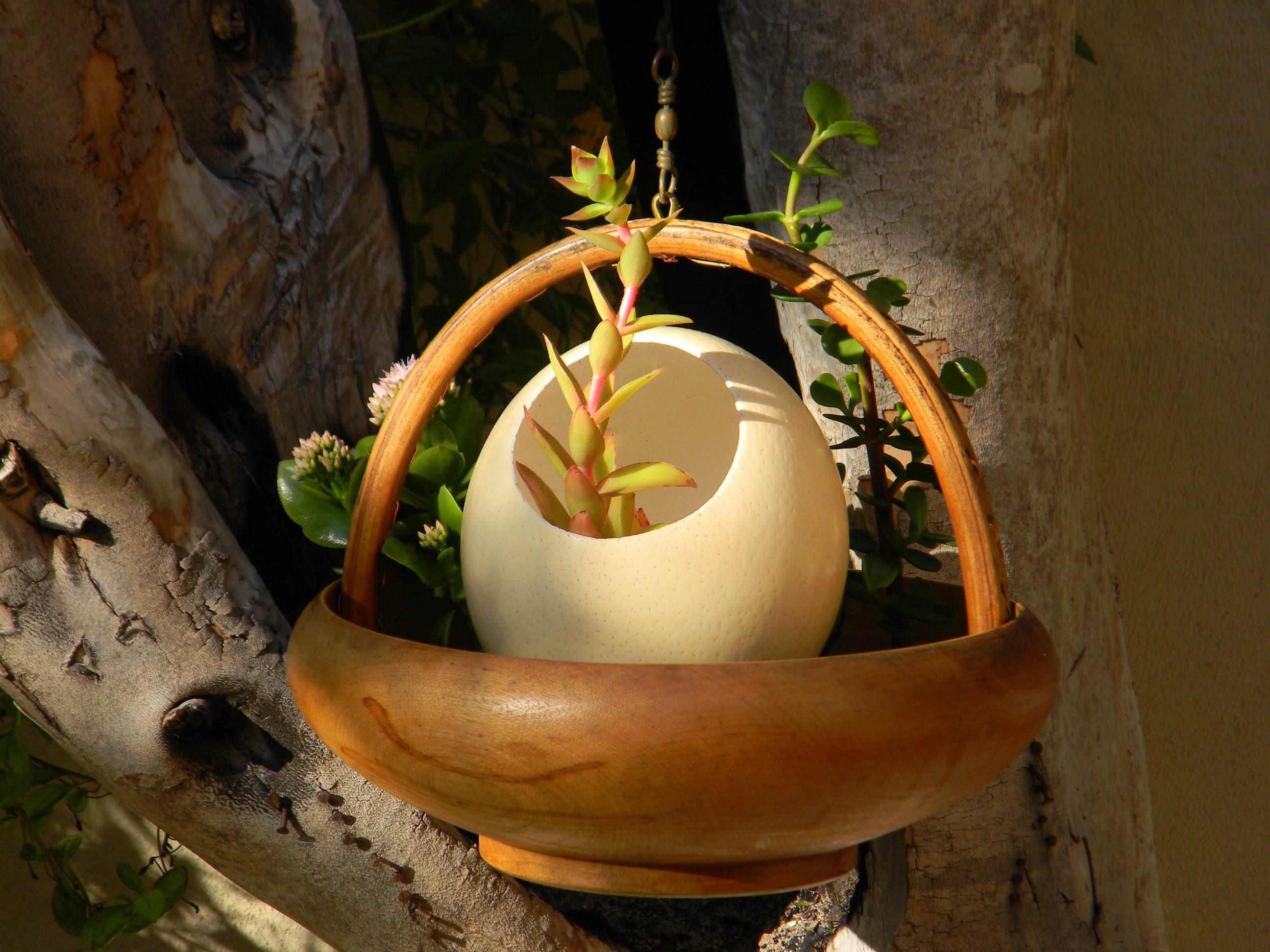 Ostrich Egg Hanging Planter, Wooden Succulent Holder, Garden Decor - Etsy
