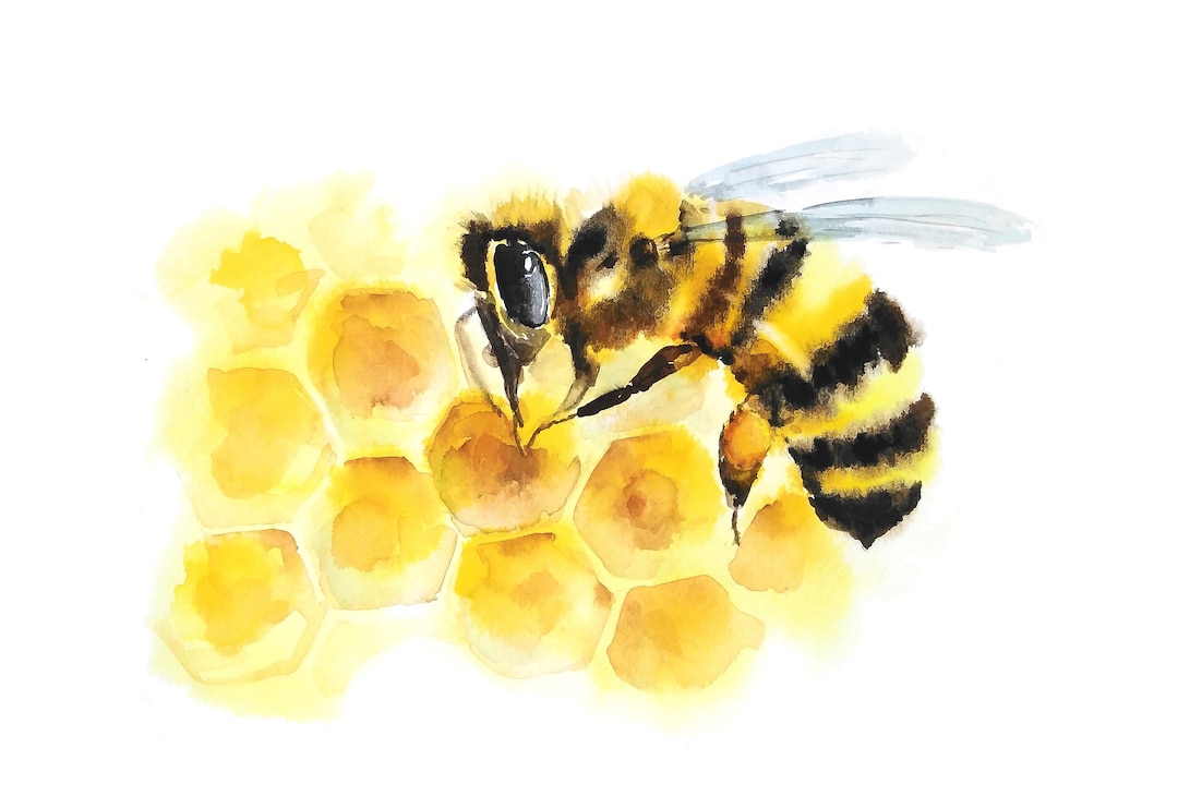 Bee Honeycomb Watercolour Print at Home Wall Art, Decor Art, Wall Decor ...