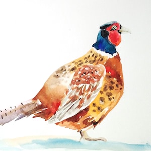 Pheasant Watercolour Illustration, Wall Art, Decor, Original Painting ...