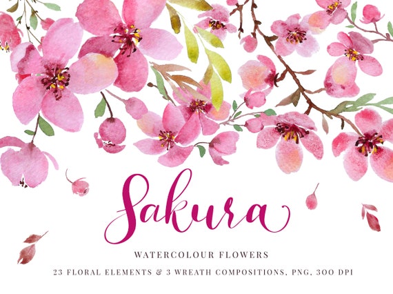 Watercolor Sakura Flowers Clipart Wedding Bridal Spring | Etsy
