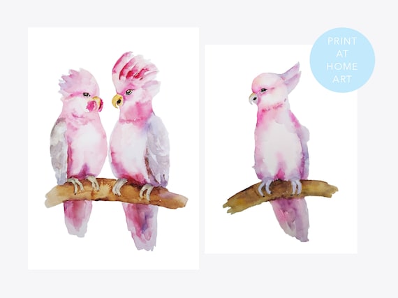 Pink Parrots Cockatoo Watercolour Print at Home Wall Art - Etsy