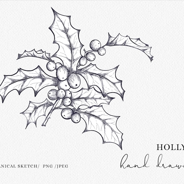 Holly Line Drawing - Etsy