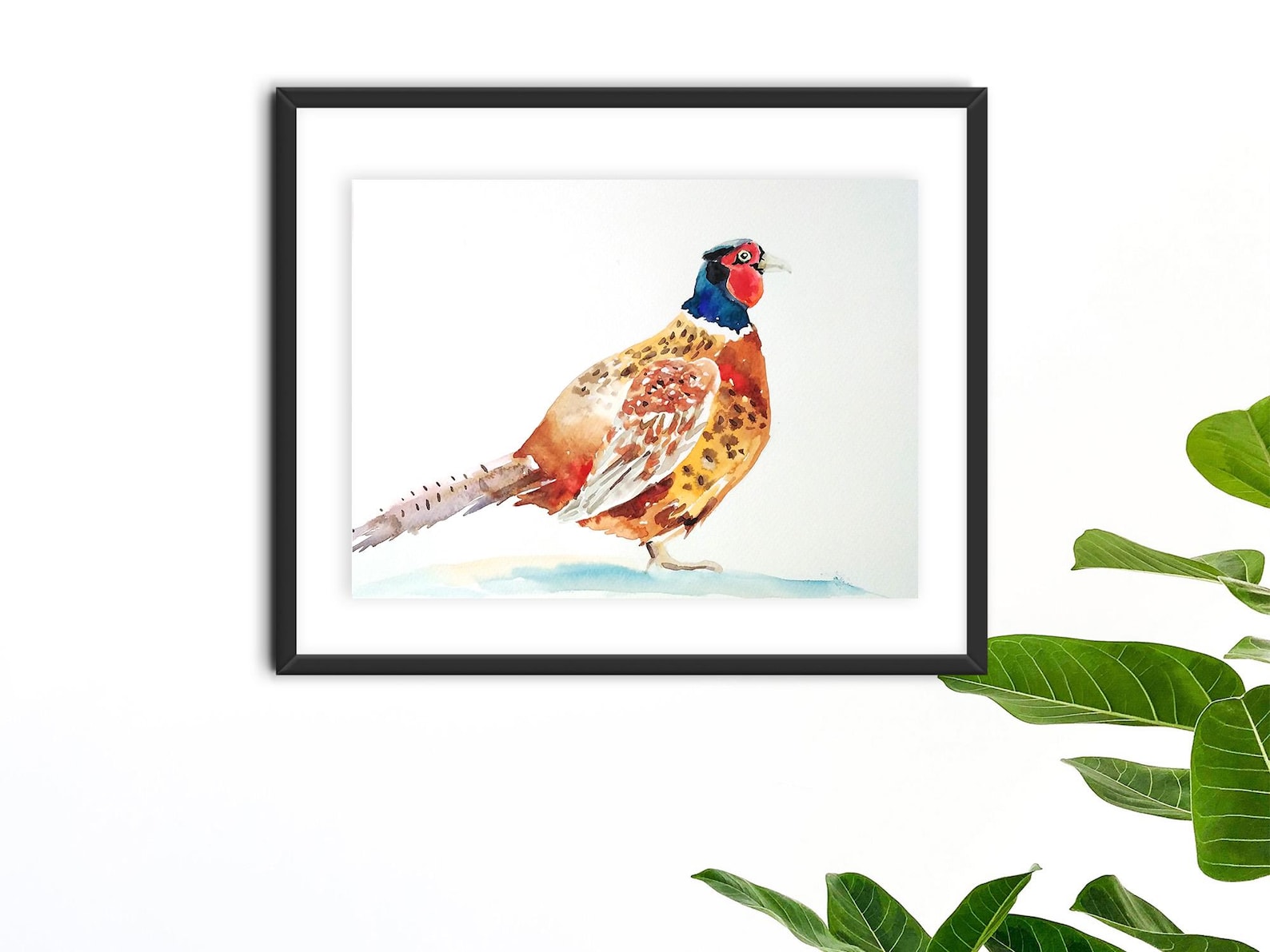 Pheasant Watercolour Illustration, Wall Art, Decor, Original Painting ...