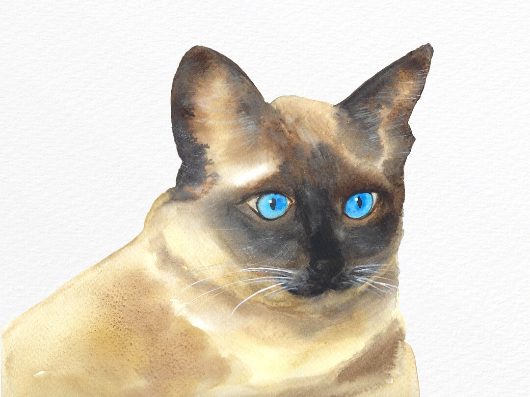 Siamese Cat Animal Watercolour Clip Art, Wall Decor Art, Cat ...