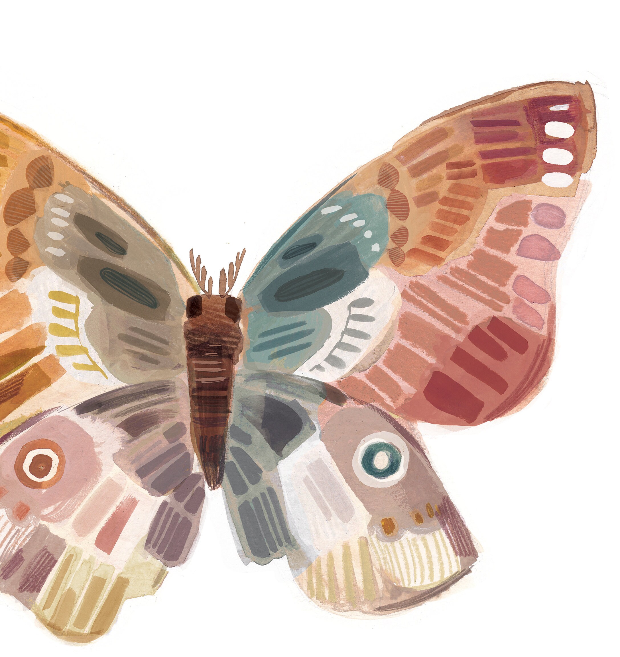 Moth Art Print Nursery Wall Decor Nature Wall Art Butterly - Etsy