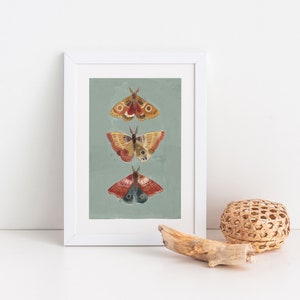 Moth Illustration Digital Print, Folk Art, Farmhouse Decor, Moth Wall ...