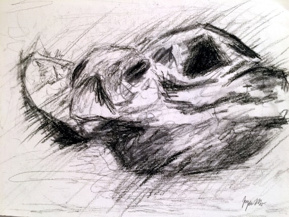 Sea Turtle Charcoal Drawing original Print - Etsy