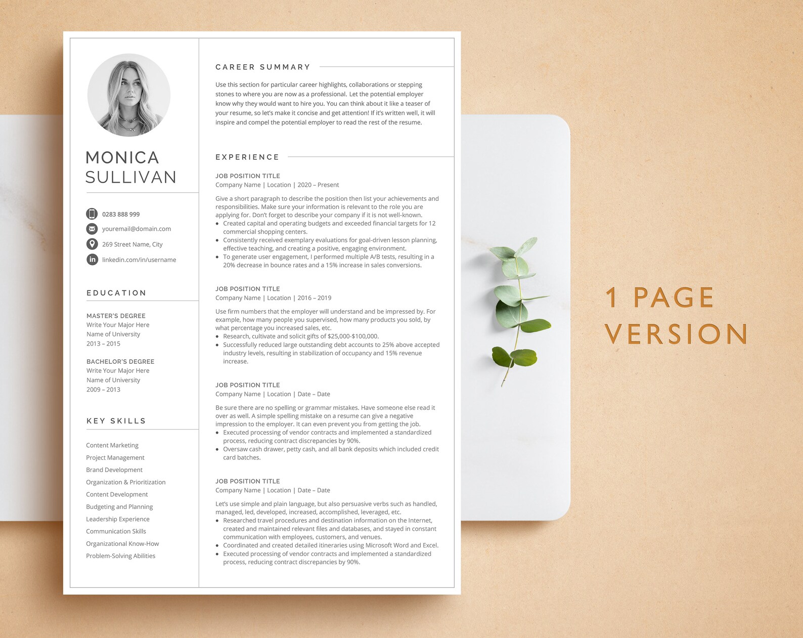 Modern Resume Template for Microsoft Word, Resume Template Focus on ...