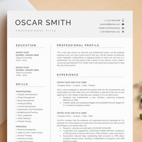 Resume Template, Cv Design Canva and Illustrator, Best Cv Resume Layout ...