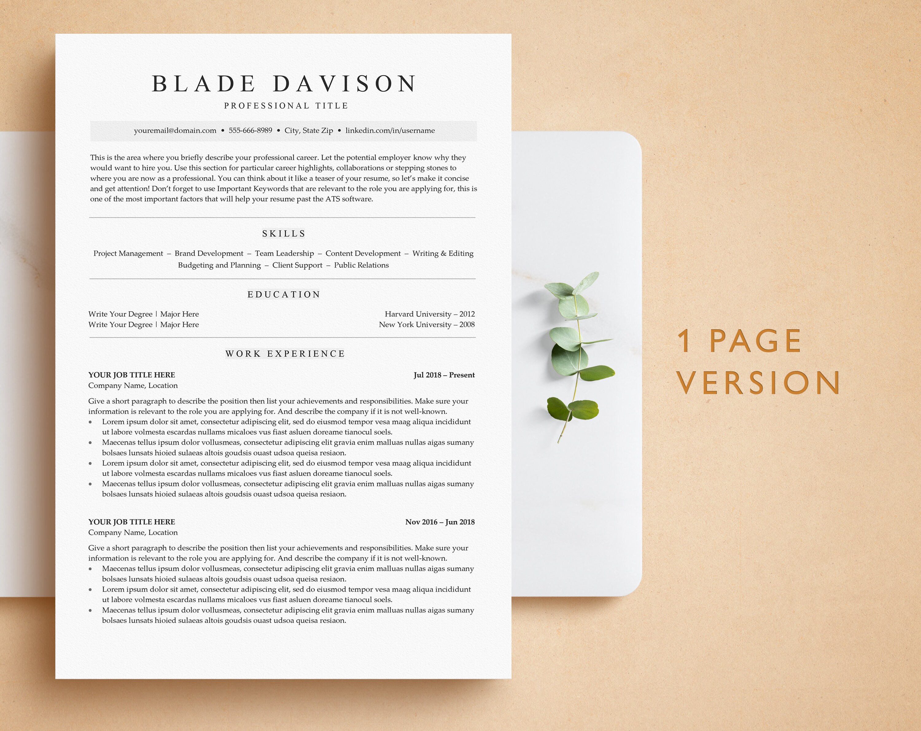 ATS Friendly Resume Template for Word, Pages, Google Docs, ATS ...