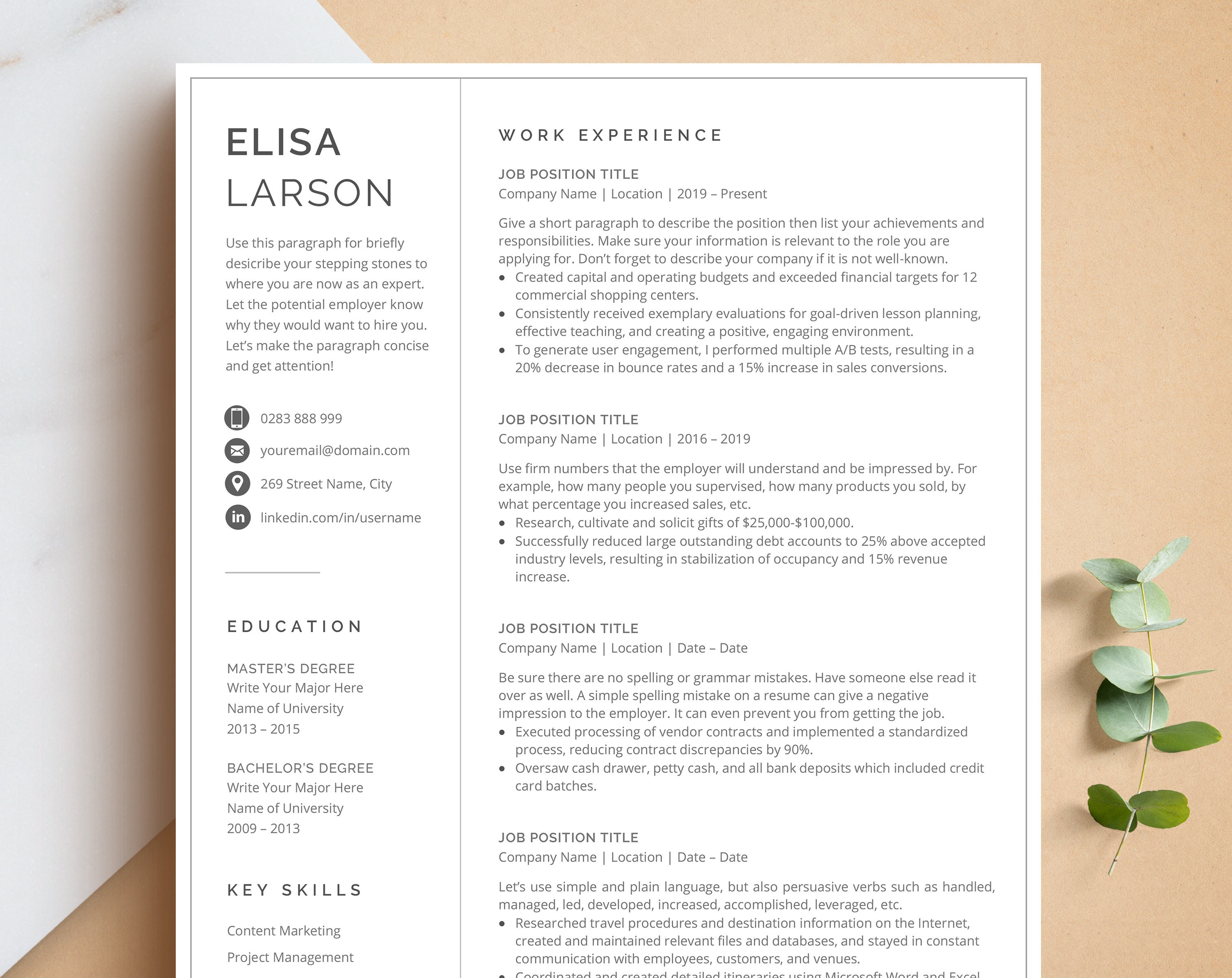 Professional Resume Template for Google Docs, Word & Pages, Resume ...
