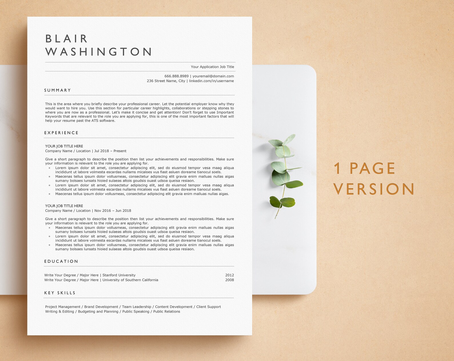 ATS Friendly Resume, Professional Resume Template for Word, Pages ...