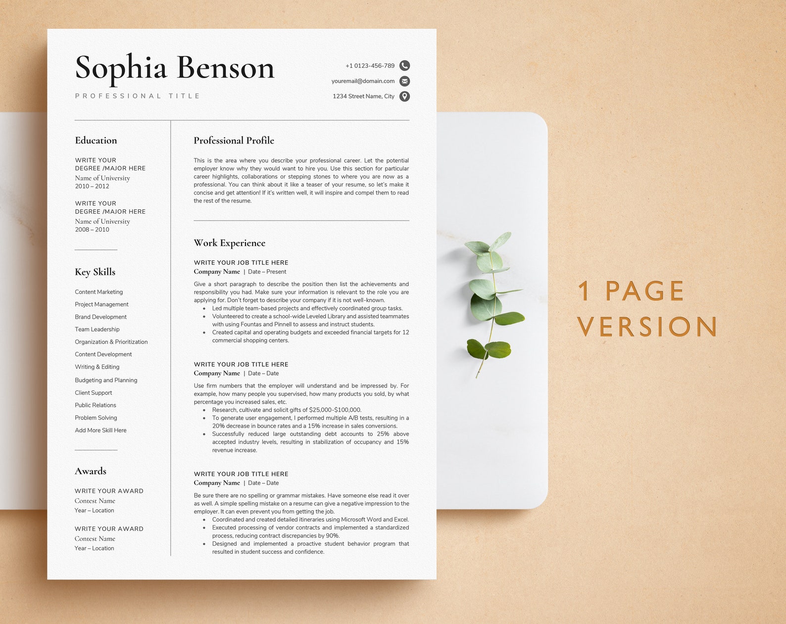 Professional Resume Template for Word, Pages, Google Docs + Business ...