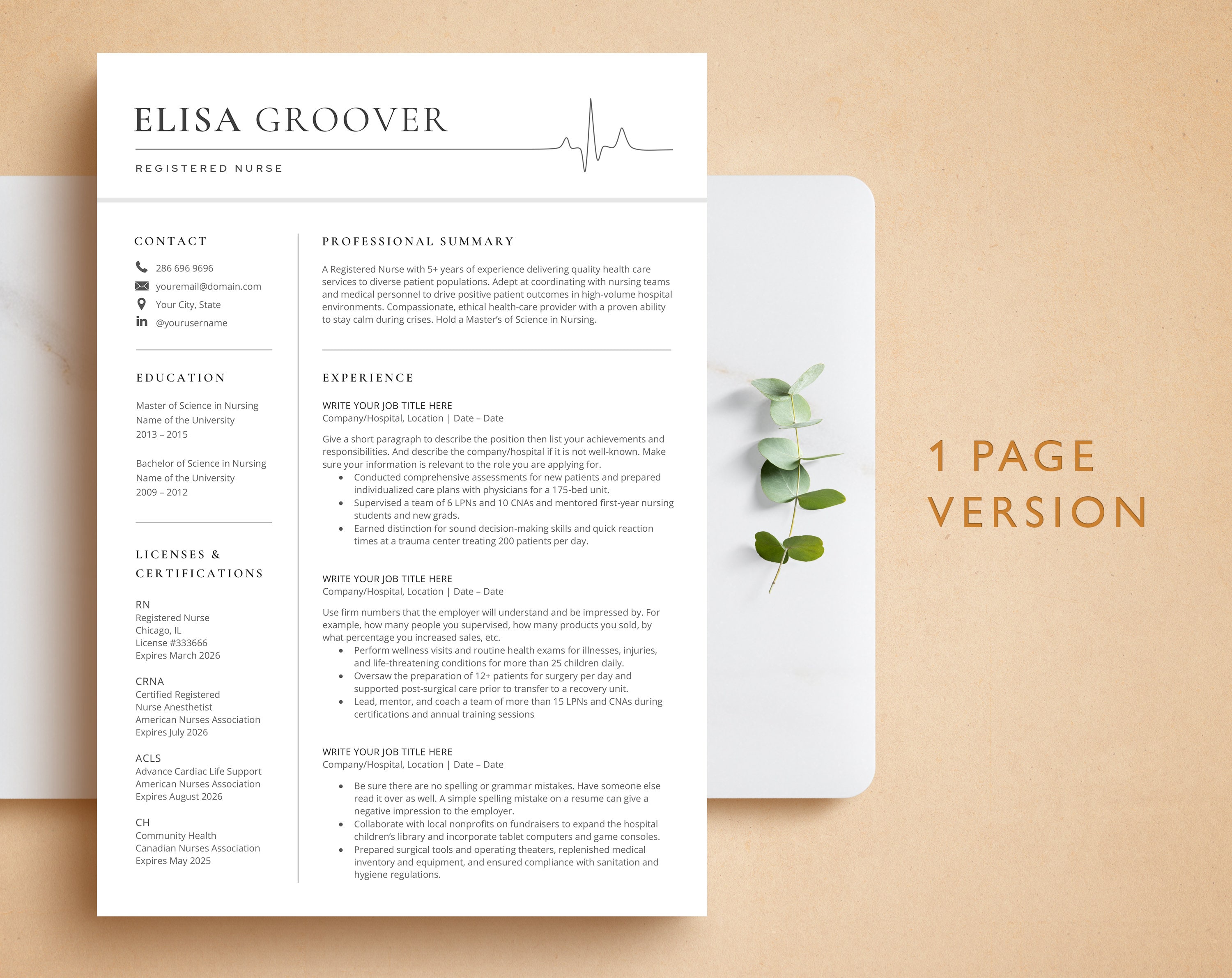 New Grad Nurse Resume Template, Registered Nurse Resume for Word and ...