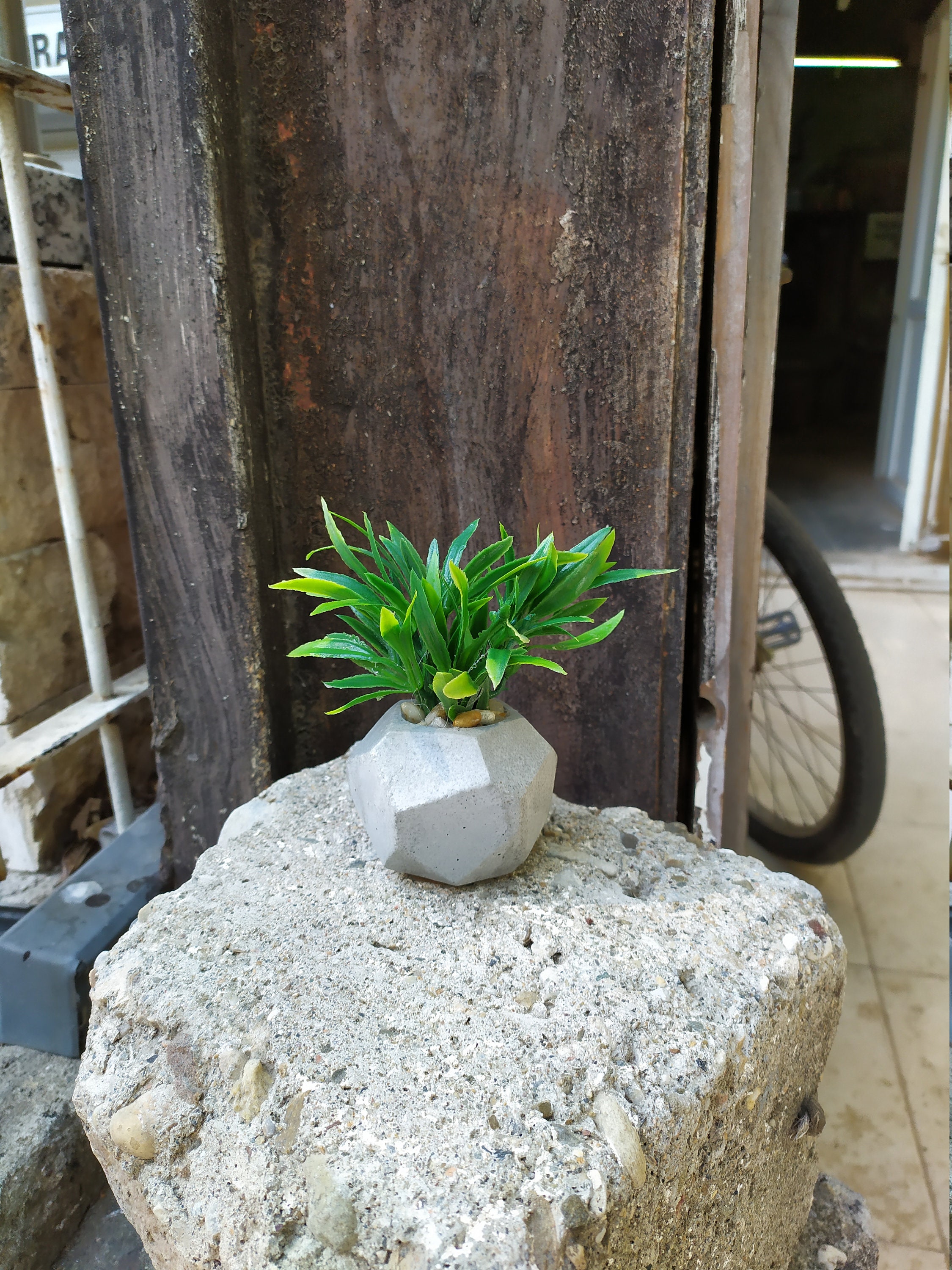 Desk Planter Cement Planter Concrete Cute Planter - Etsy