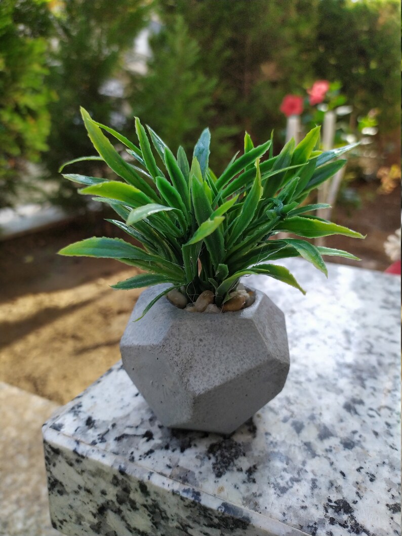 Desk Planter Cement Planter Concrete Cute Planter - Etsy