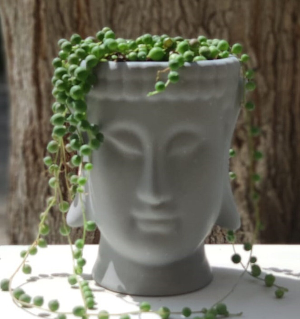 Buddha Head Desk Planter Concrete Buddha Buddha Pot - Etsy
