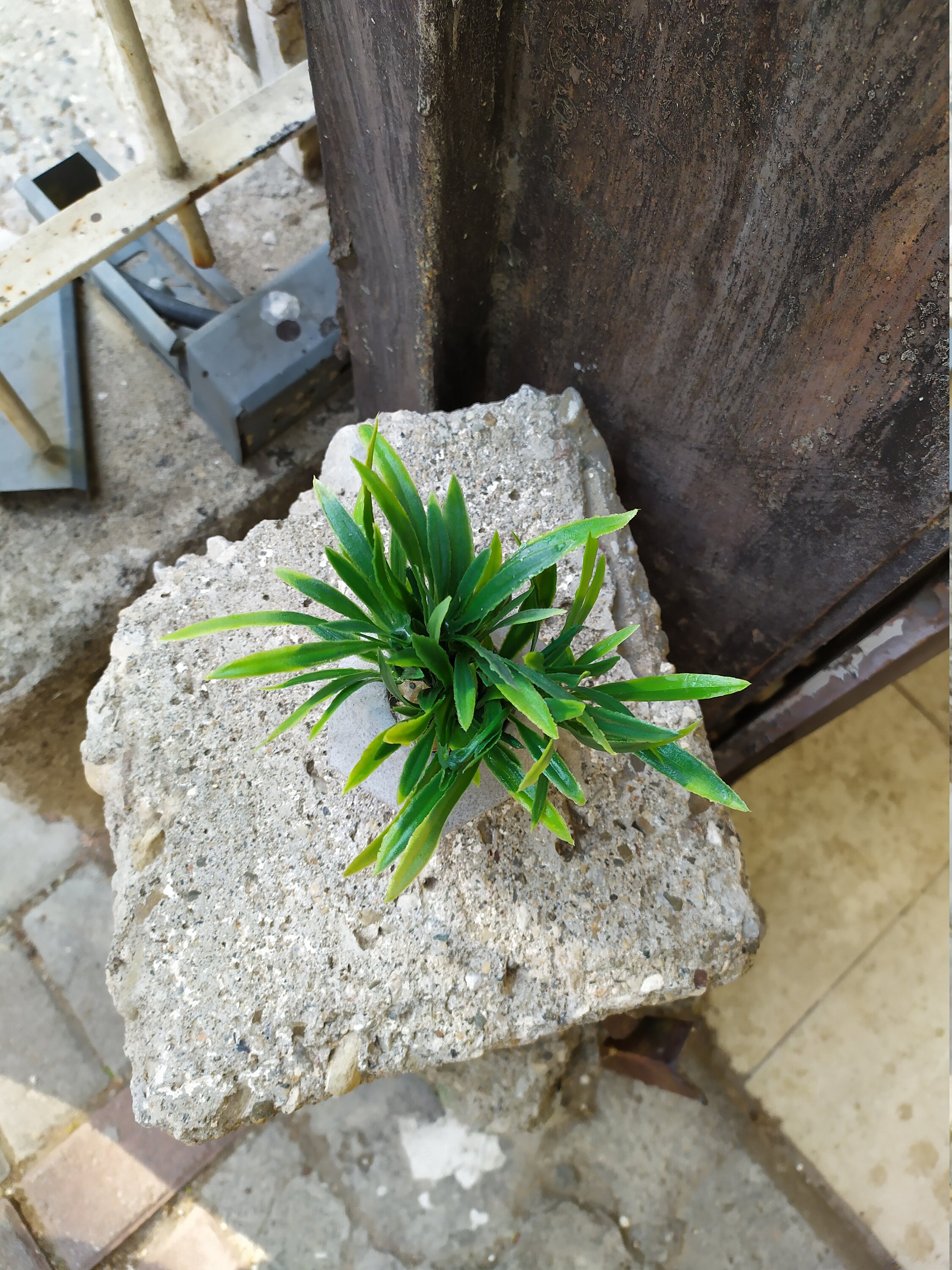 Desk Planter Cement Planter Concrete Cute Planter - Etsy