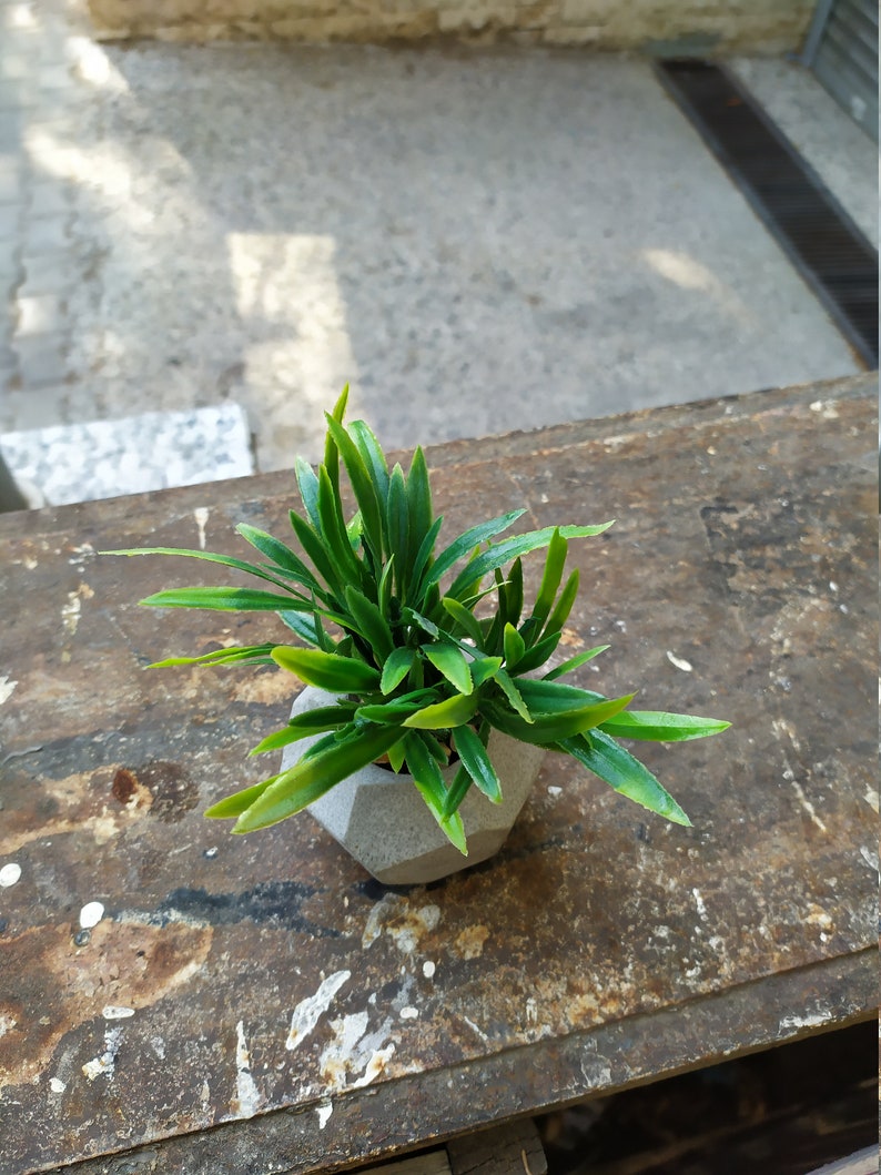 Desk Planter Cement Planter Concrete Cute Planter - Etsy