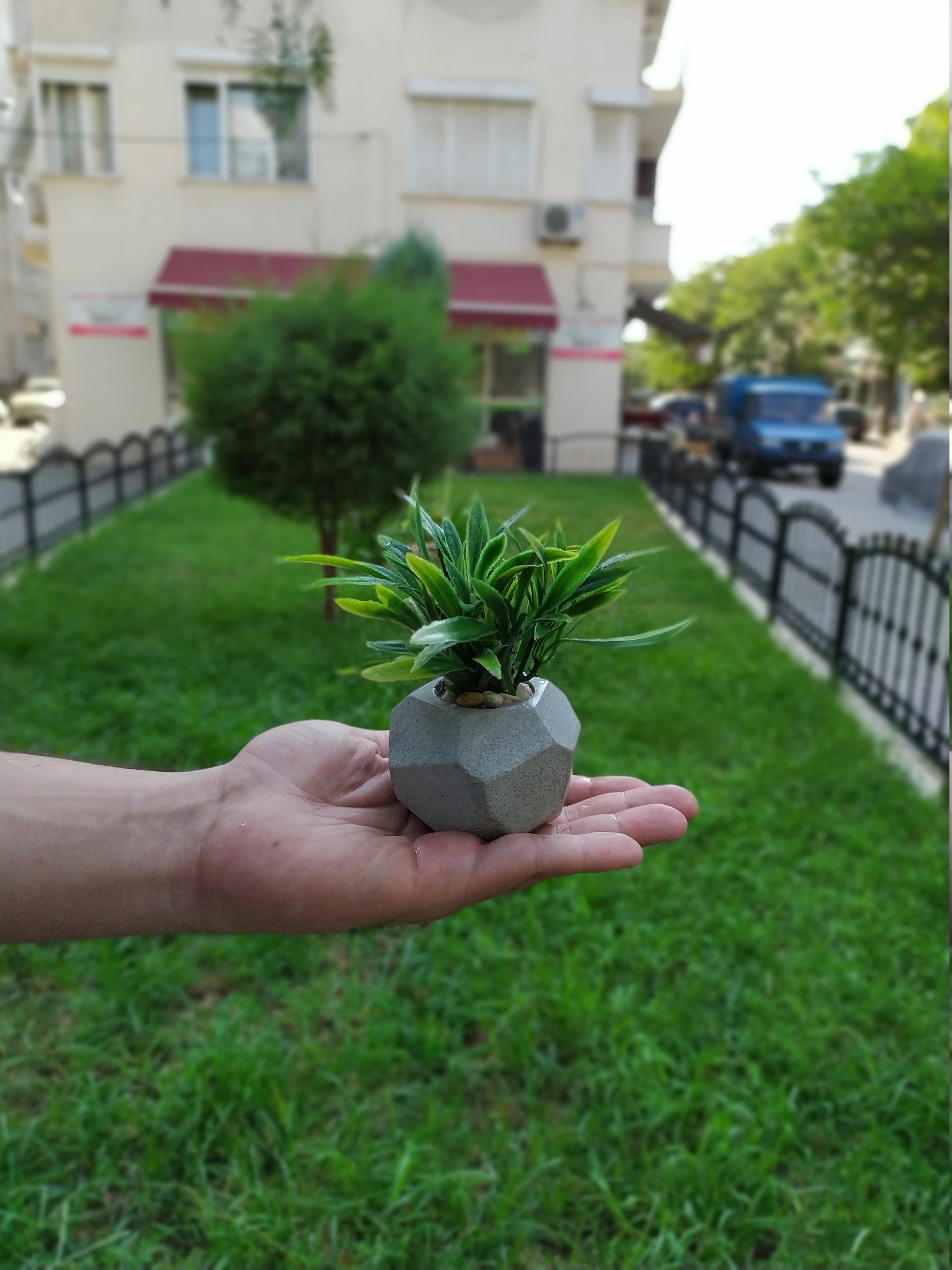 Desk Planter Cement Planter Concrete Cute Planter - Etsy