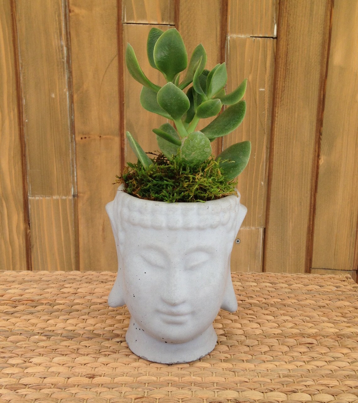 Buddha Head Desk Planter Concrete Buddha Buddha Pot - Etsy