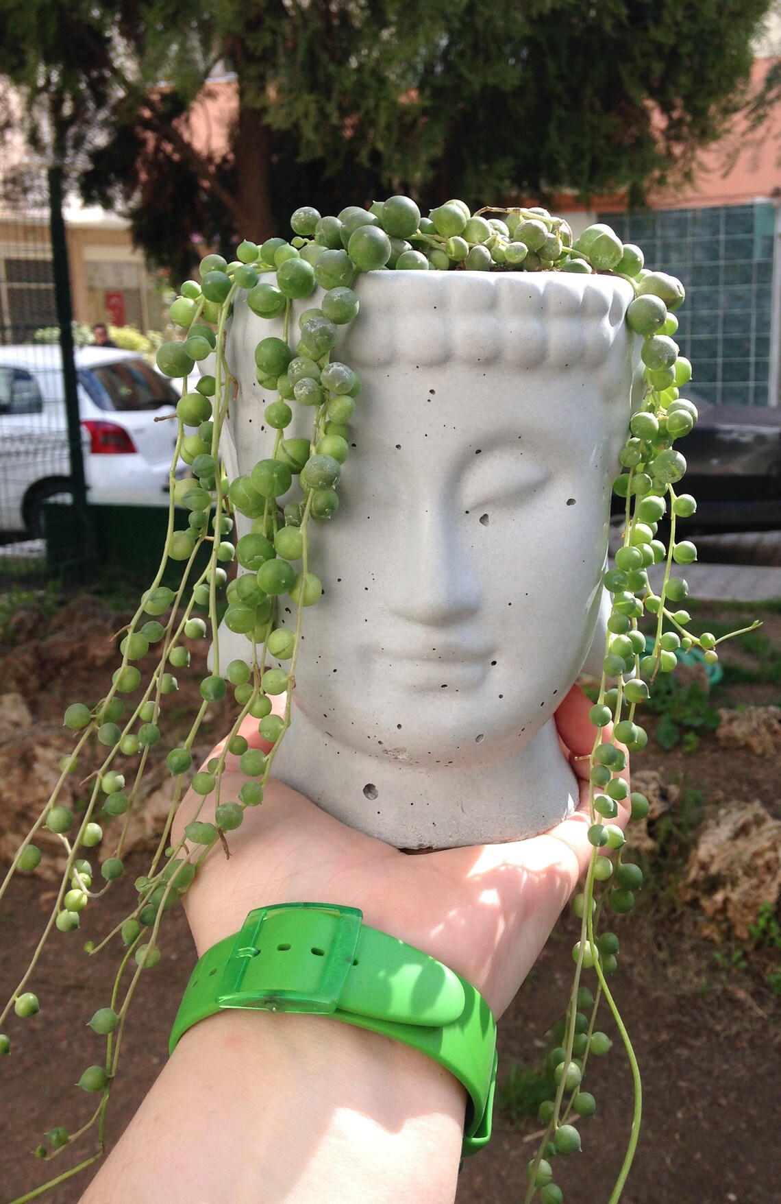 Buddha Head Desk Planter Concrete Buddha Buddha Pot - Etsy