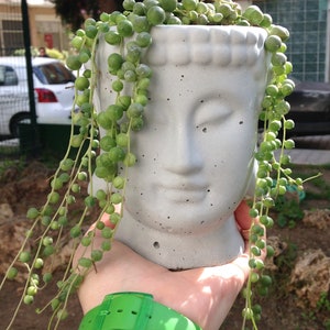 Buddha Head Desk Planter Concrete Buddha Buddha Pot - Etsy