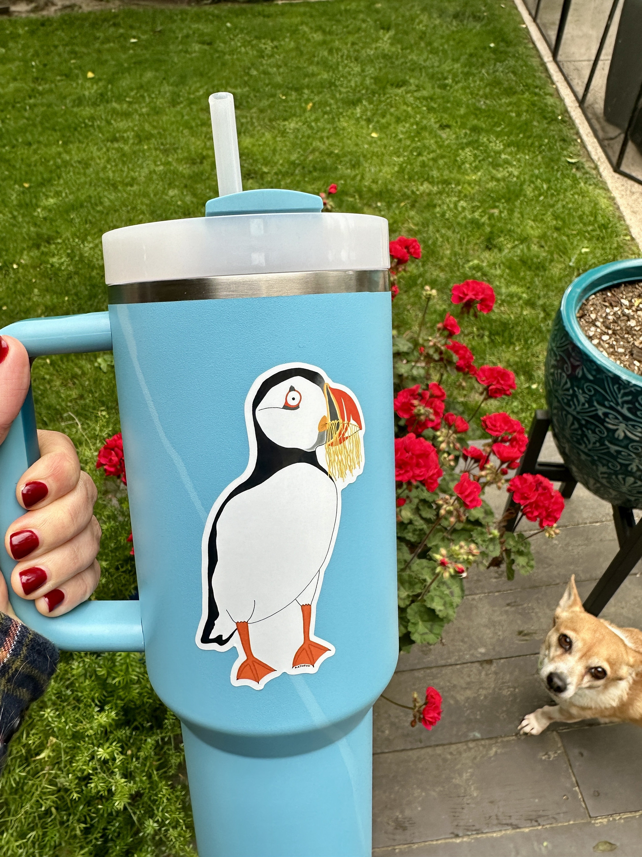 Pasta Eating Puffin Sticker - Etsy