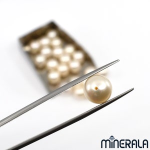 Natural Freshwater White Pearl Loose Half Drilled Round 8.5-9mm ...