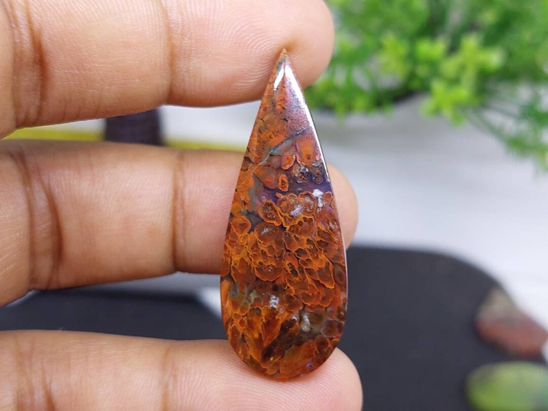 155 Plume Opalized Petrified Wood Multycolor Rare - Etsy