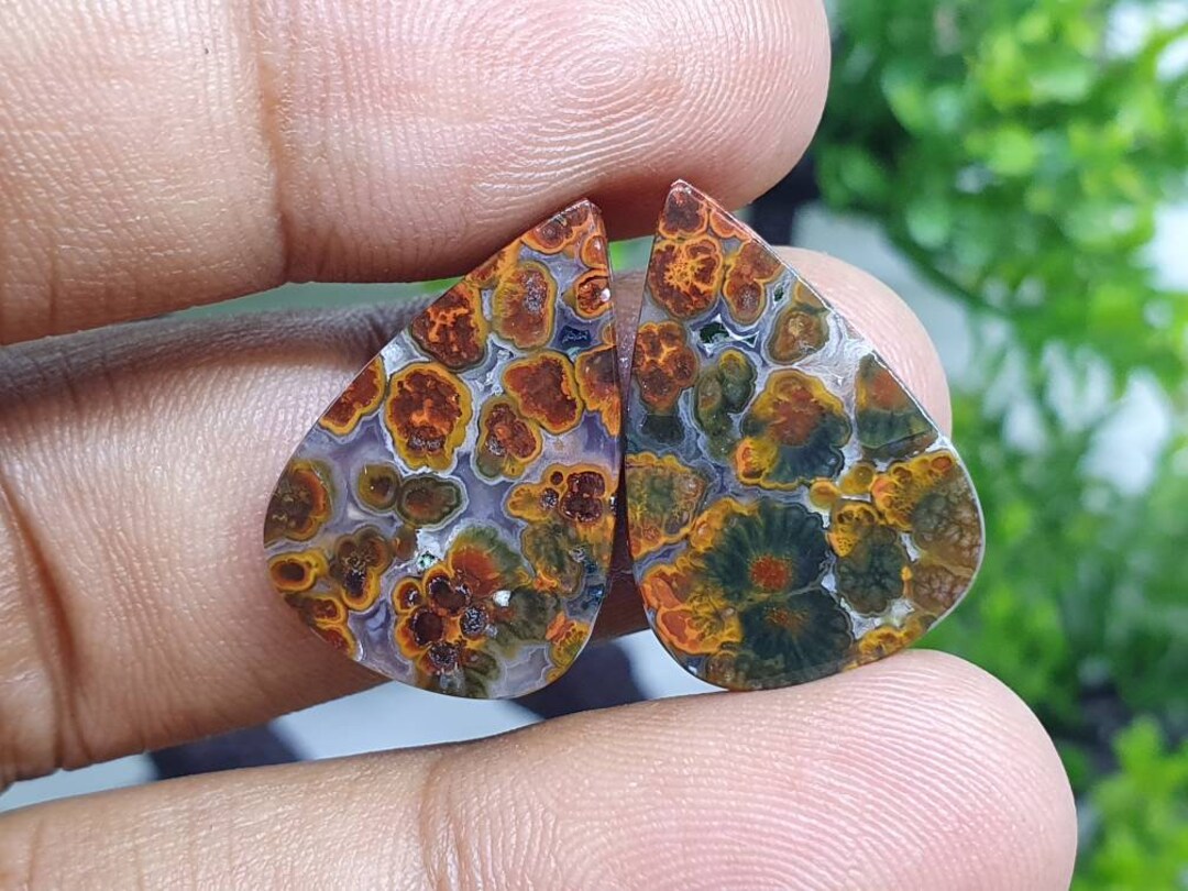 860 Plume Opalized Petrified Wood Multycolor Rare for Earrings - Etsy