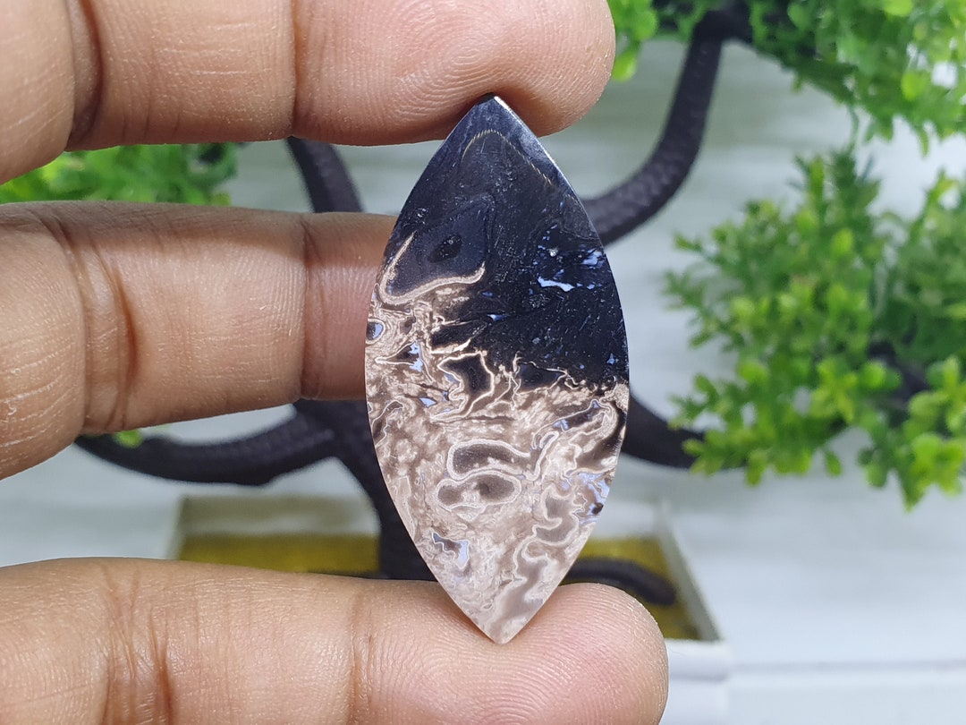 646 Palm Root Unique Indonesian Jasper Agate for Necklace Cabochon ...