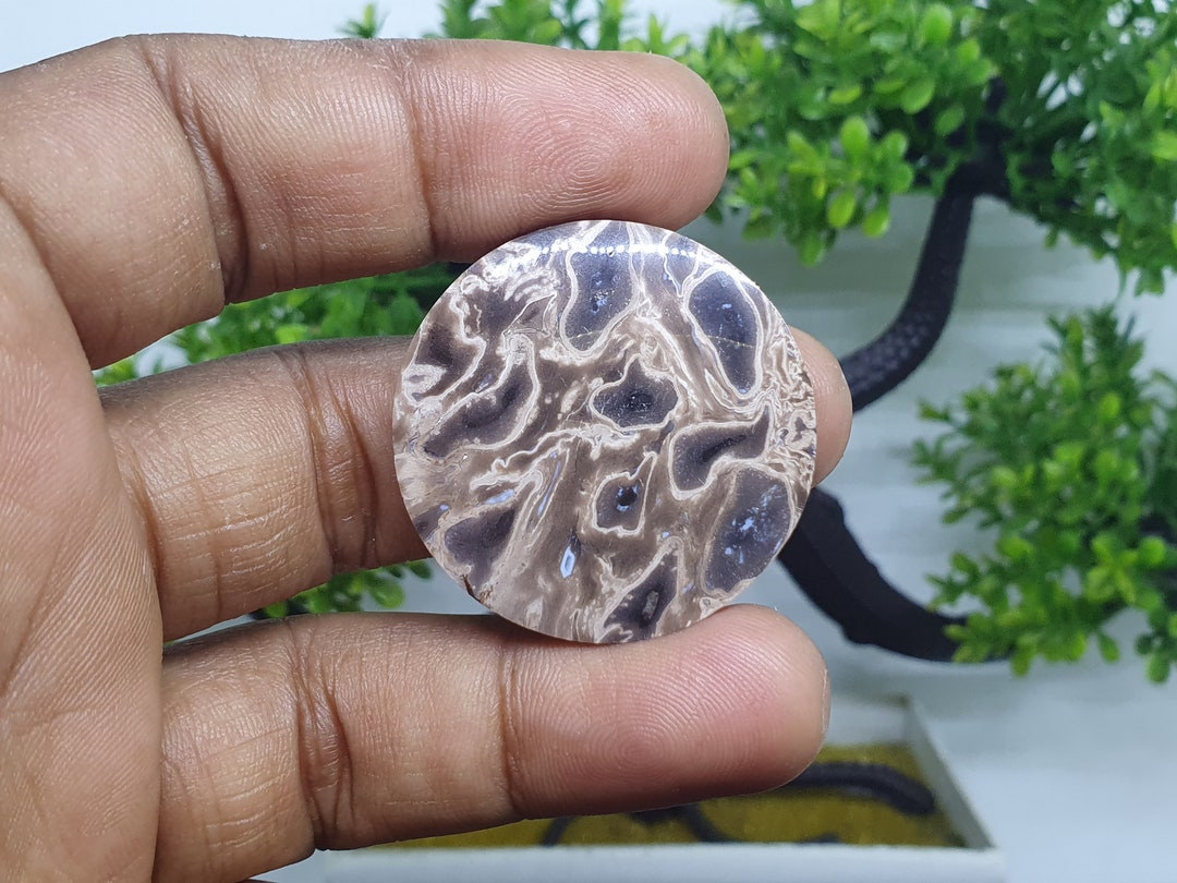 625 Palm Root Unique Indonesian Jasper - Agate for Necklace Cabochon ...