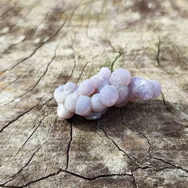 Stone Grape - Etsy