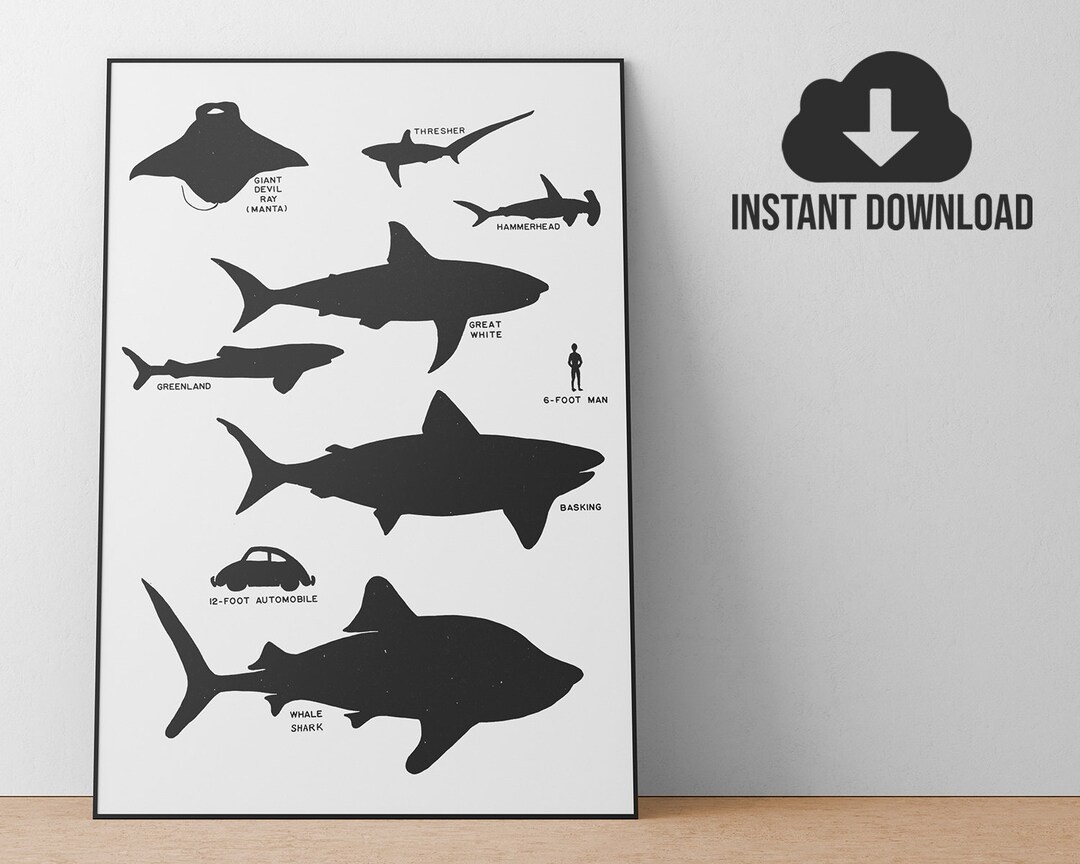 Sea Creatures / Animals Print / Whales Poster / Ocean Poster / Vintage ...