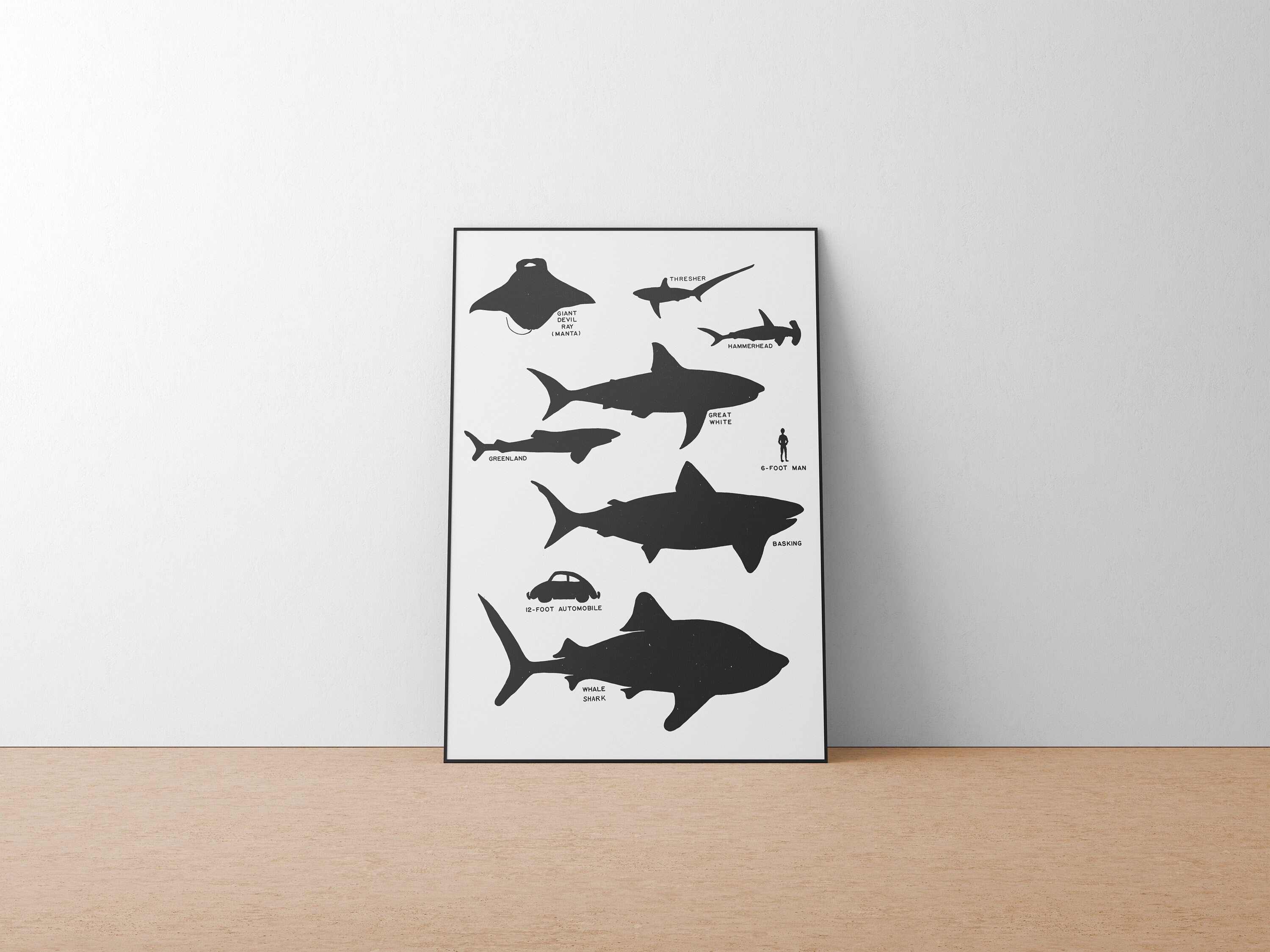 Sea Creatures / Animals Print / Whales Poster / Ocean Poster / Vintage ...