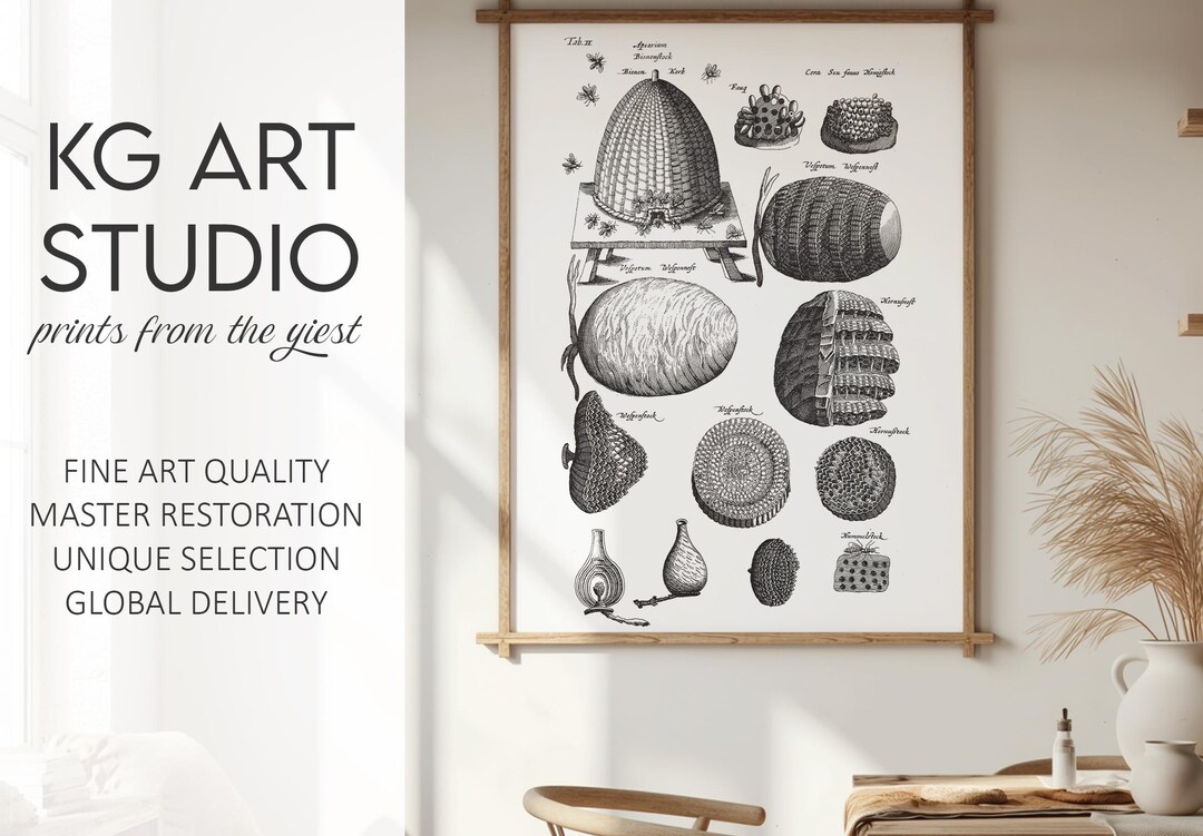 Beehive and Bees Print Apiary Natural History Print | 1600s Animal ...