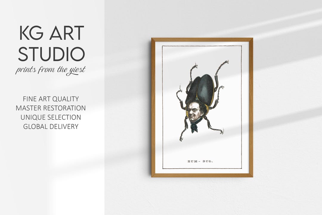 Hum-bug - 1850s Comic Natural History Human Race Print | Vintage Satire ...